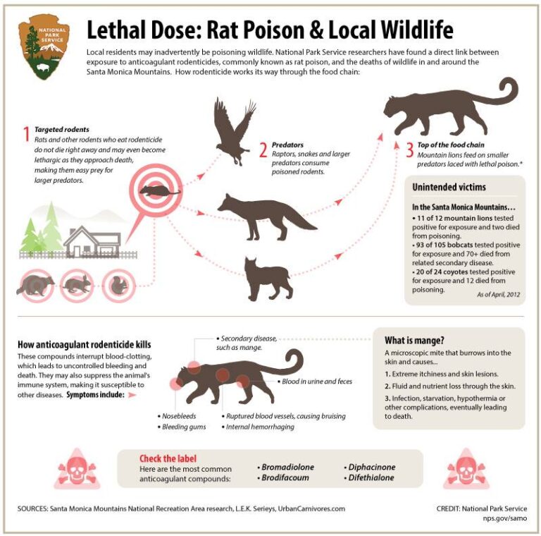 Rodenticide: Impacts and Alternatives - Urban Wildlife Research Project